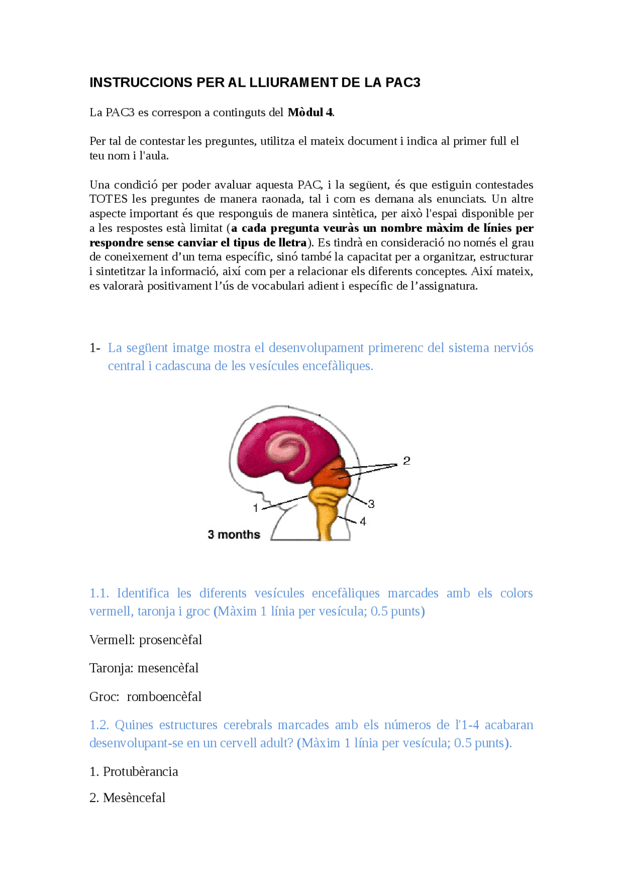 Solució Pac 3 Fonaments Psicobiologia Docsity