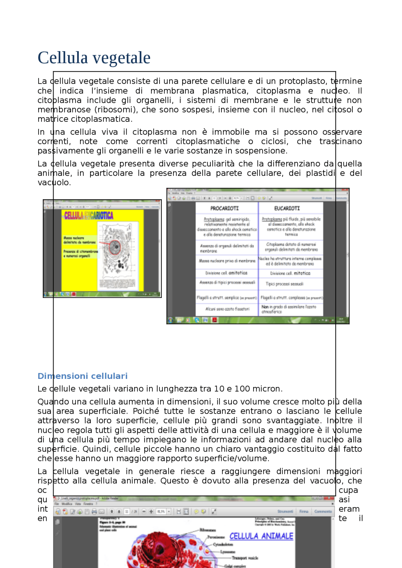 La Cellula Vegetale - Docsity