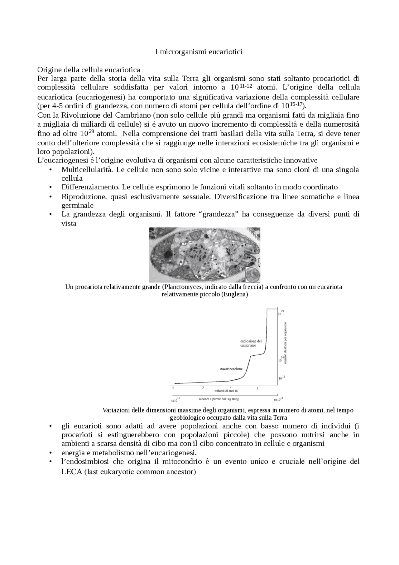 Microbi eucarioti per microbiologia - Docsity