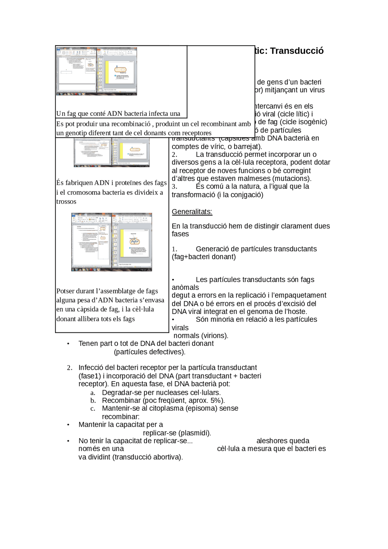 Tema 25 De Microbiologia Docsity