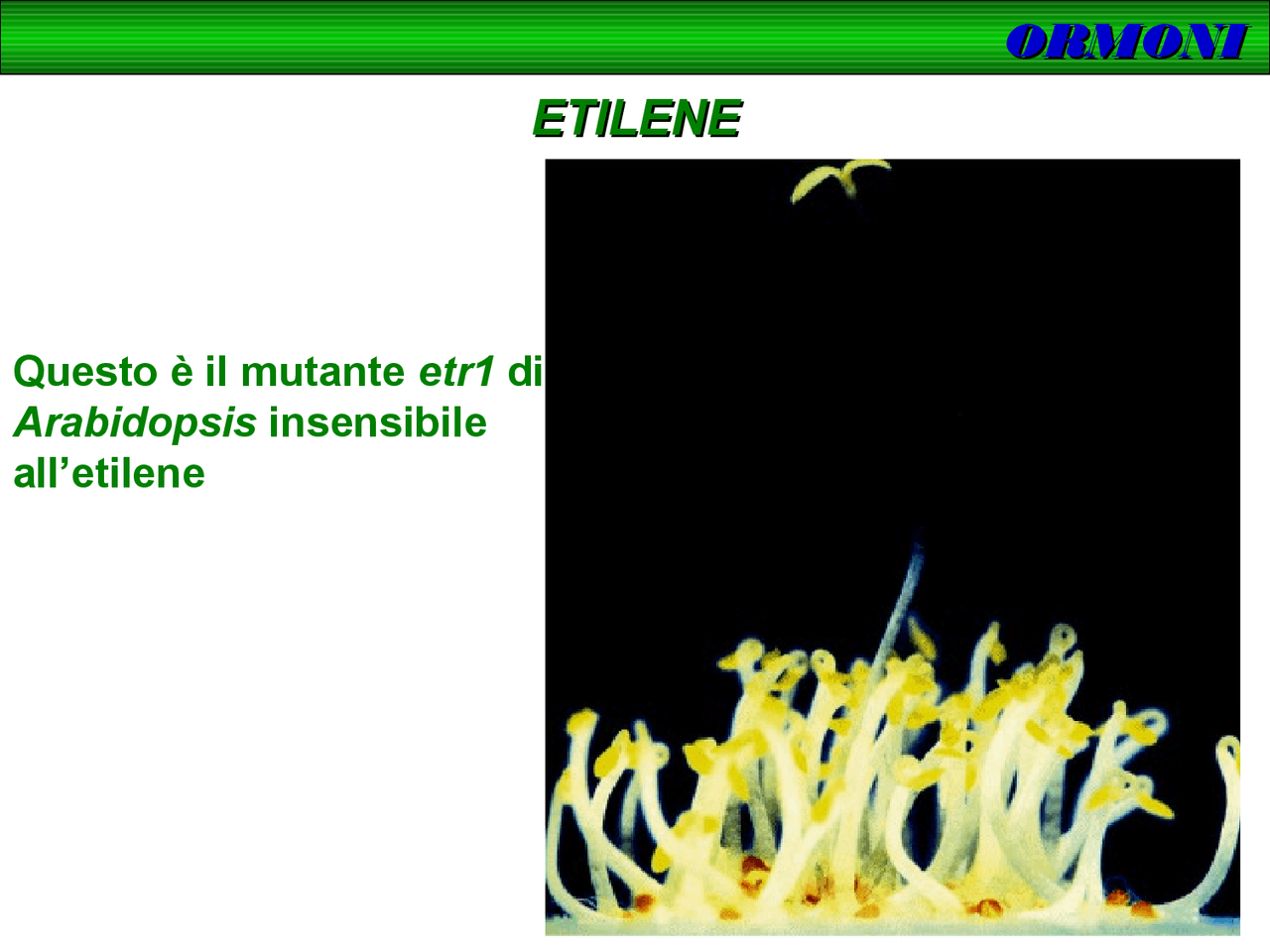 Appunti Chimica Organica Docsity