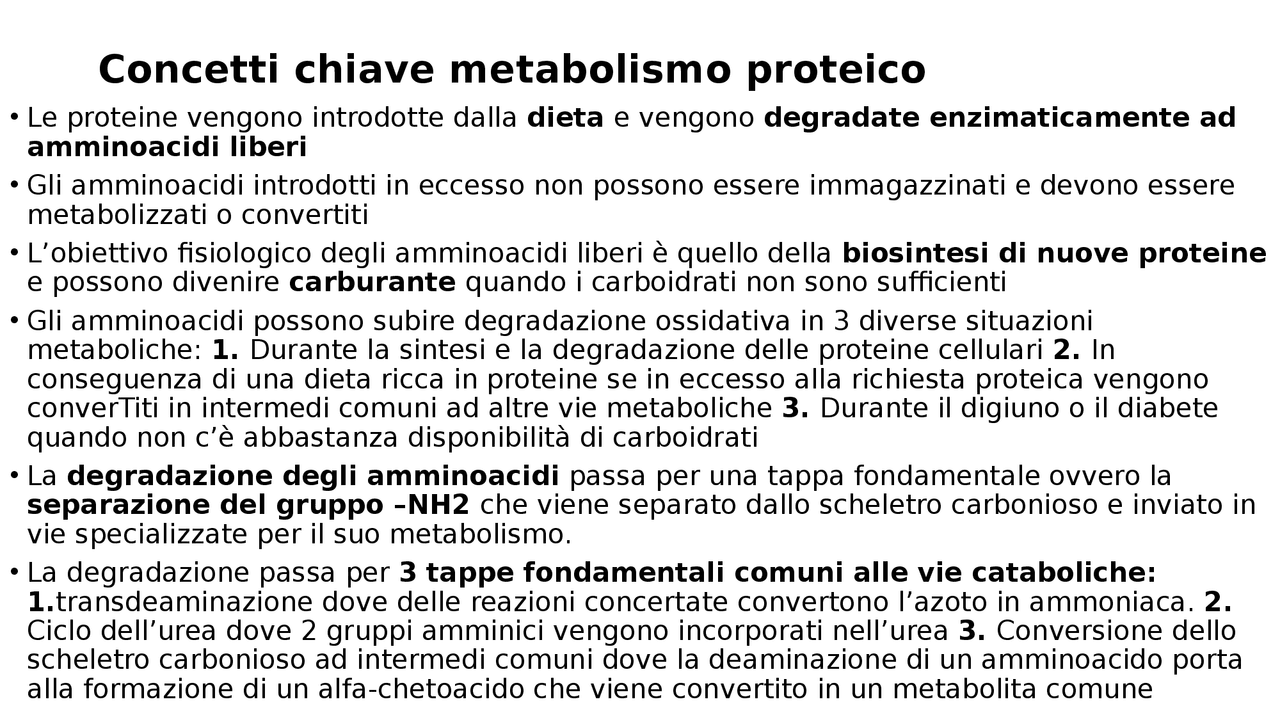 Degradazione E Metabolismo Amminoacidi Docsity