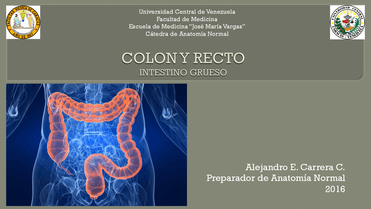 Colon y Recto jqkdasdkjal akdljalkdja - Docsity