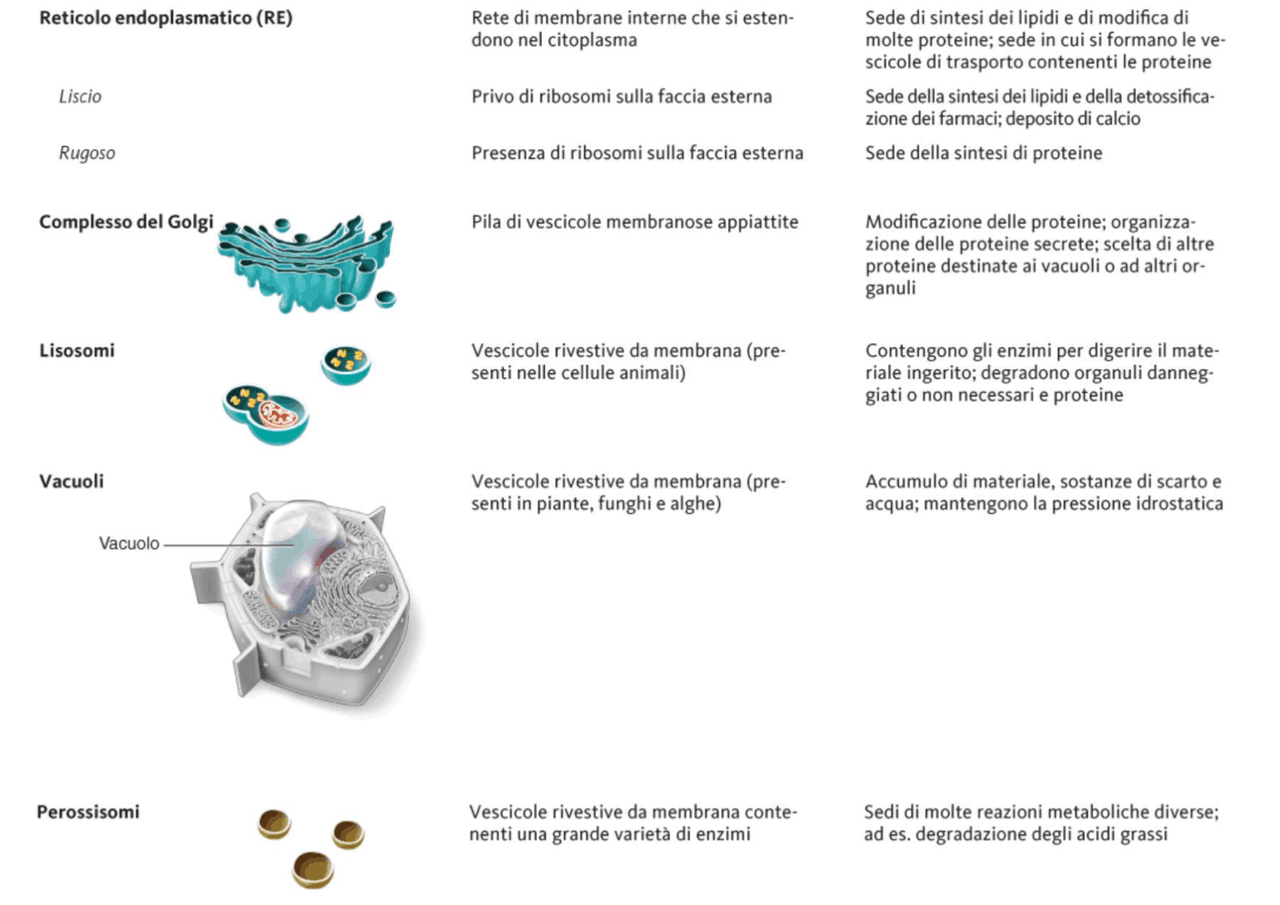 Biologia Applicata Modulo I 2pdf Docsity