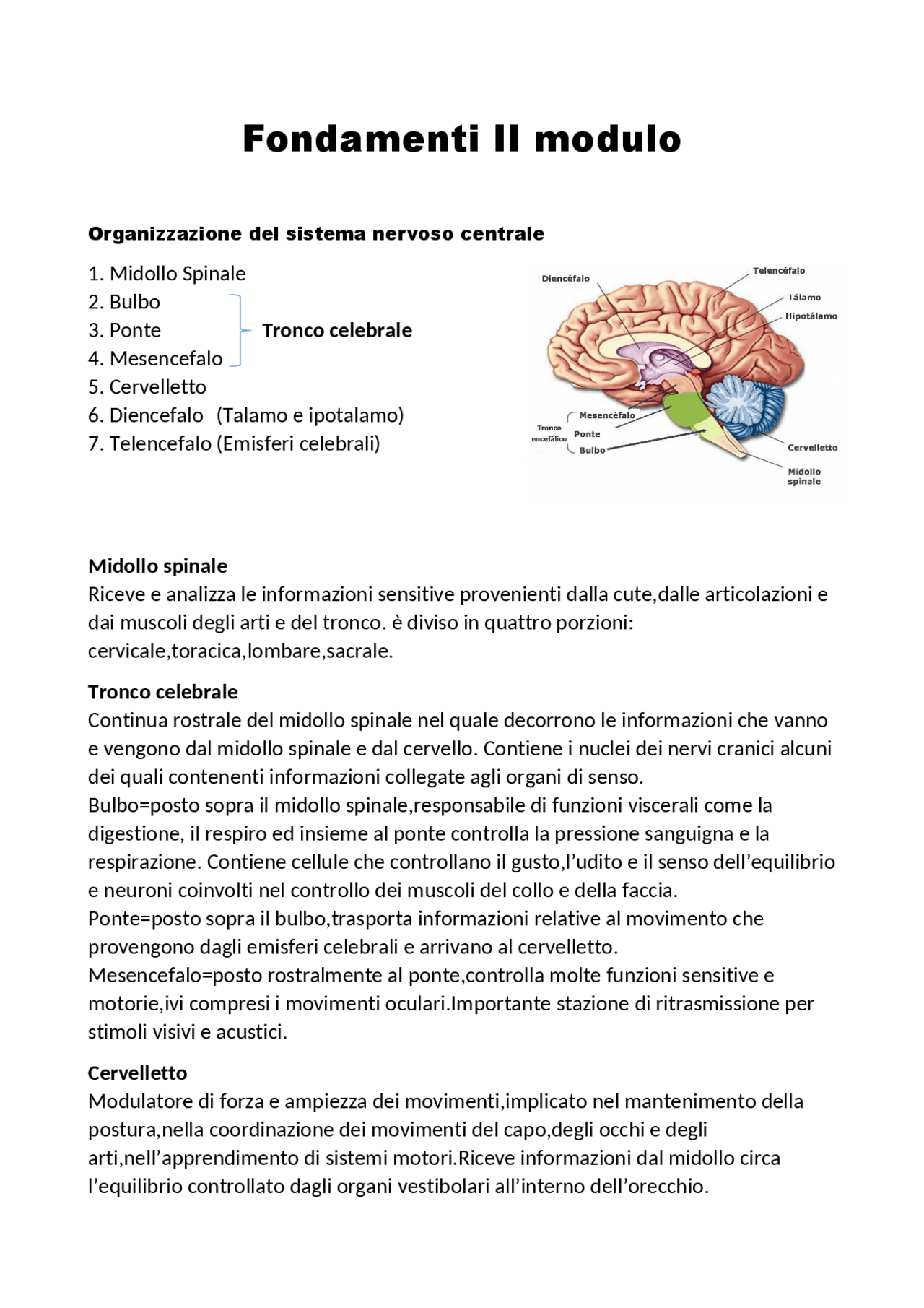 2 Modulo Fondamenti Anatono Fisiologici Dei Processi Psichici Docsity