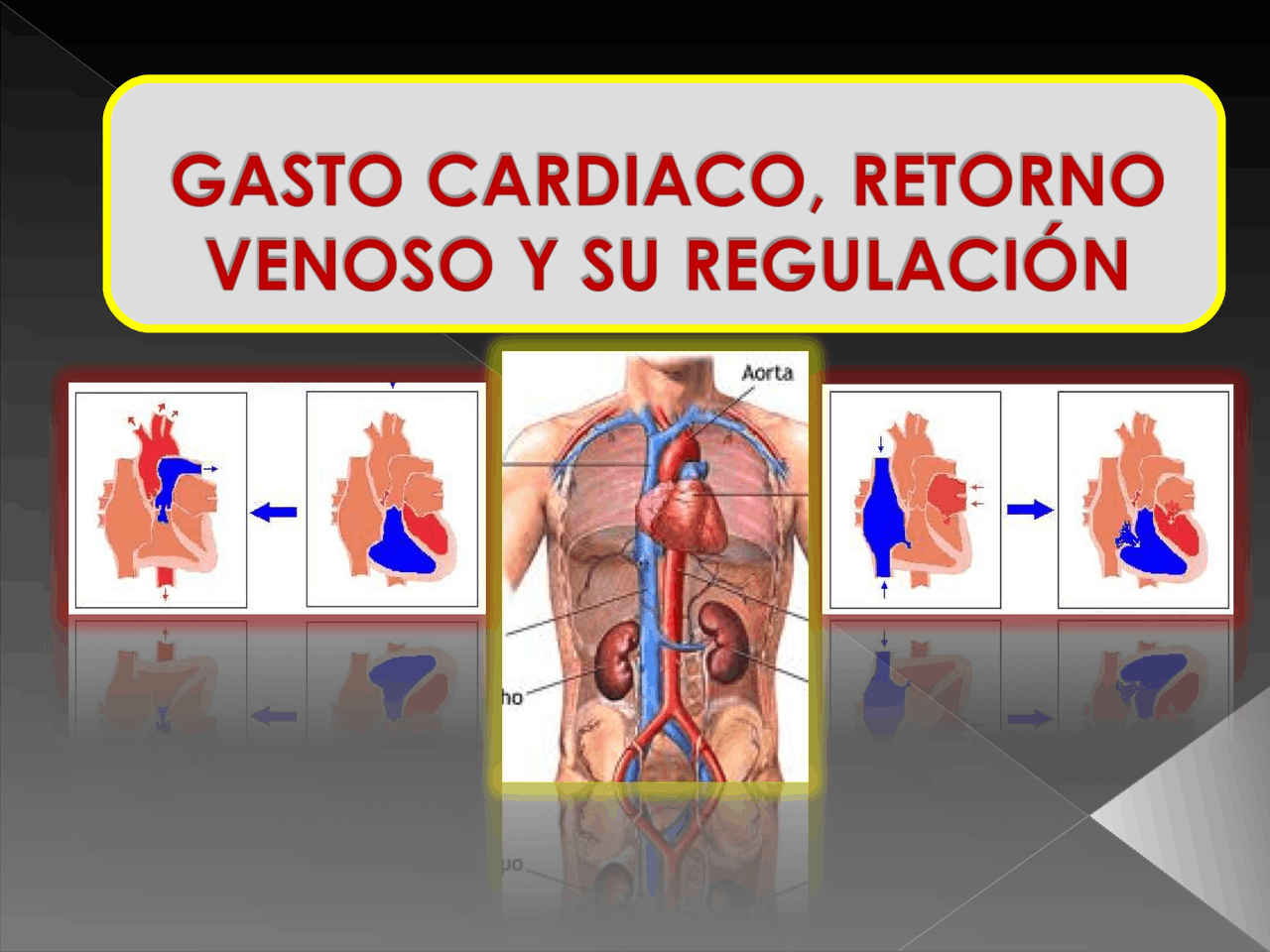 20.- débito cardíaco, retorno venoso e sua regulação | Diapositivas de ...