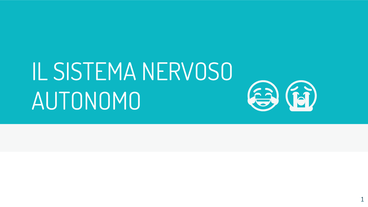 Sistema Muscolo Liscio E Miocardio Docsity