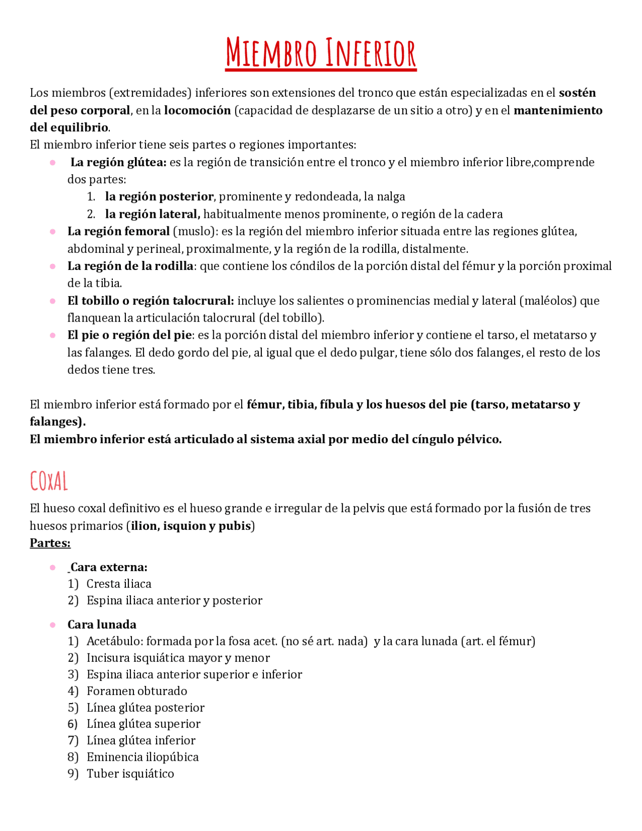 Anatomía Apuntes De Ostelogia Y Miembro Inferior Docsity