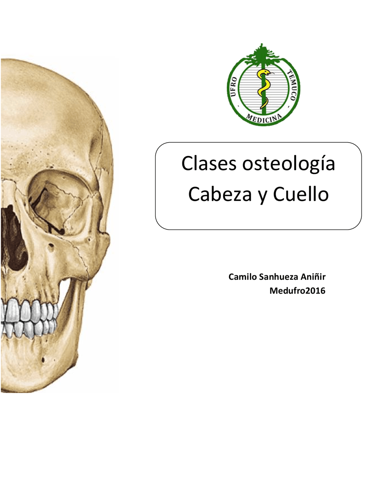 Anatomia Ostelogia De Cabeza Y Cuello Apuntes De Anatomía Docsity