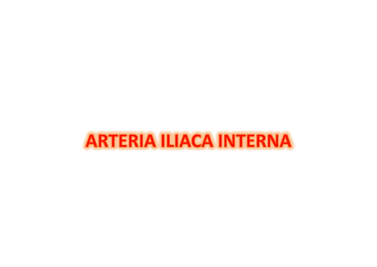 ARTERIA ILIACA INTERNA - Docsity