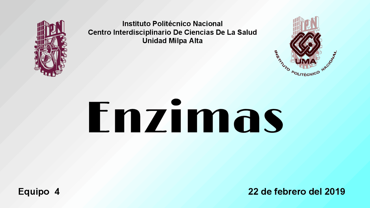 Estructura Enzimática Primaria Secundaria Terciaria