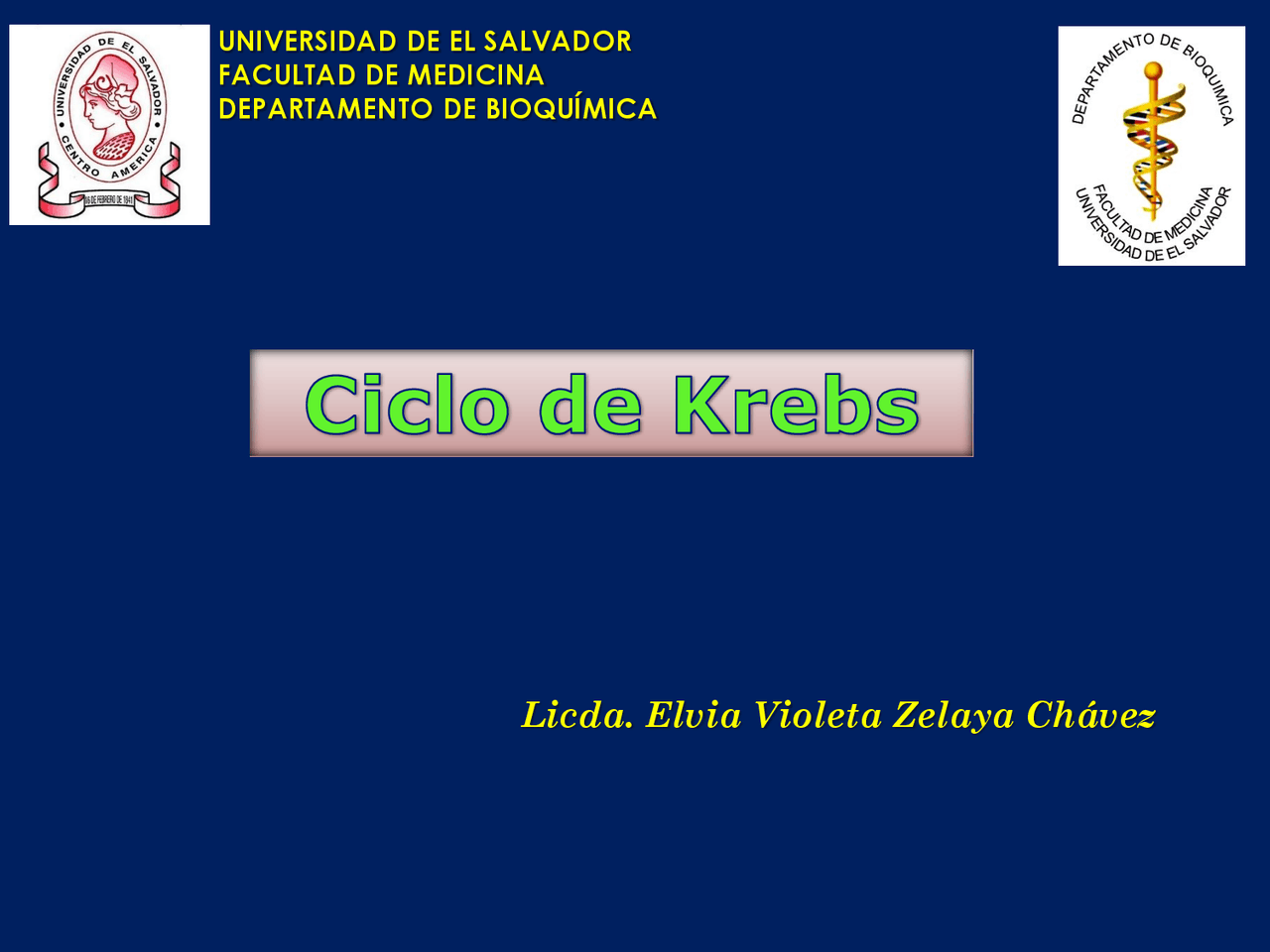 Metabolismo Del Ciclo De Krebs Docsity