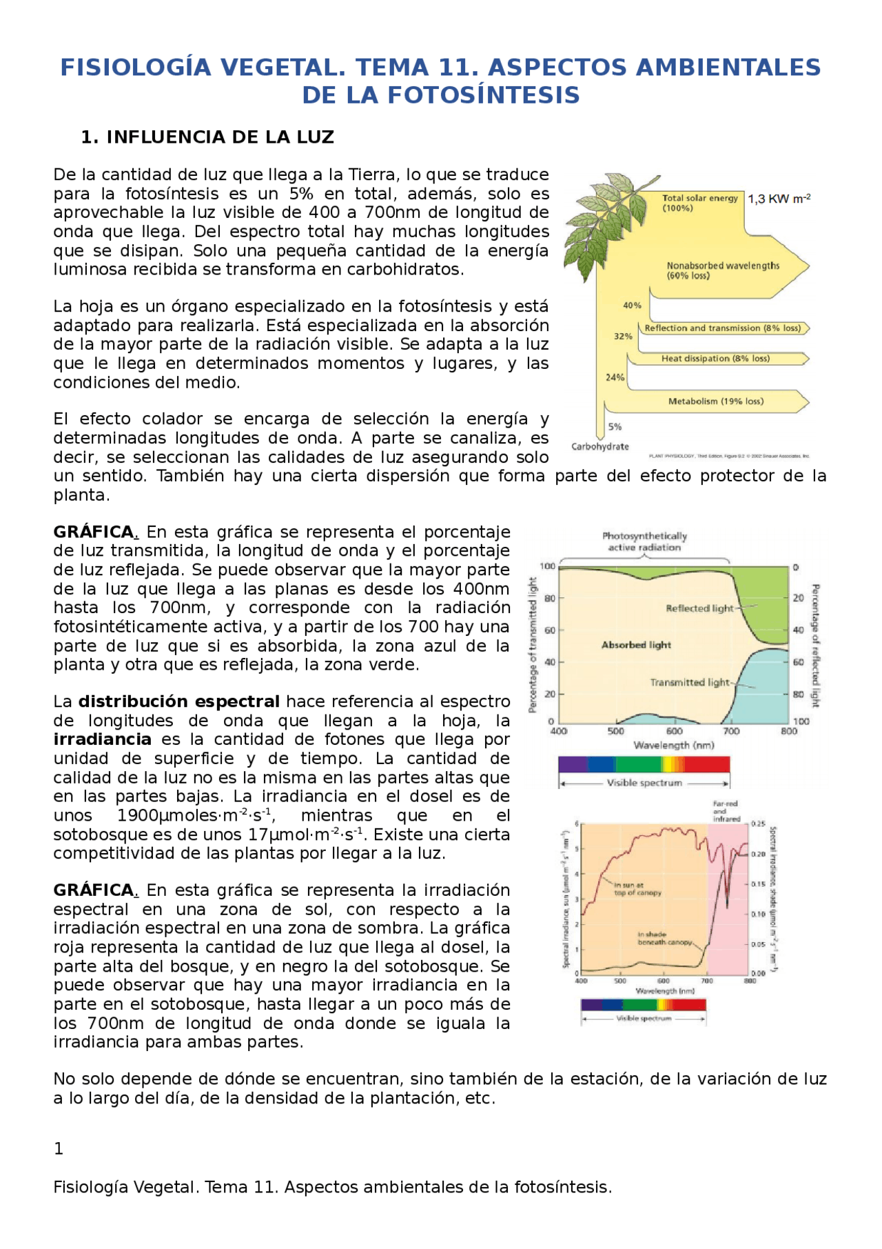 Fisiología Vegetal. tema 11 - Docsity