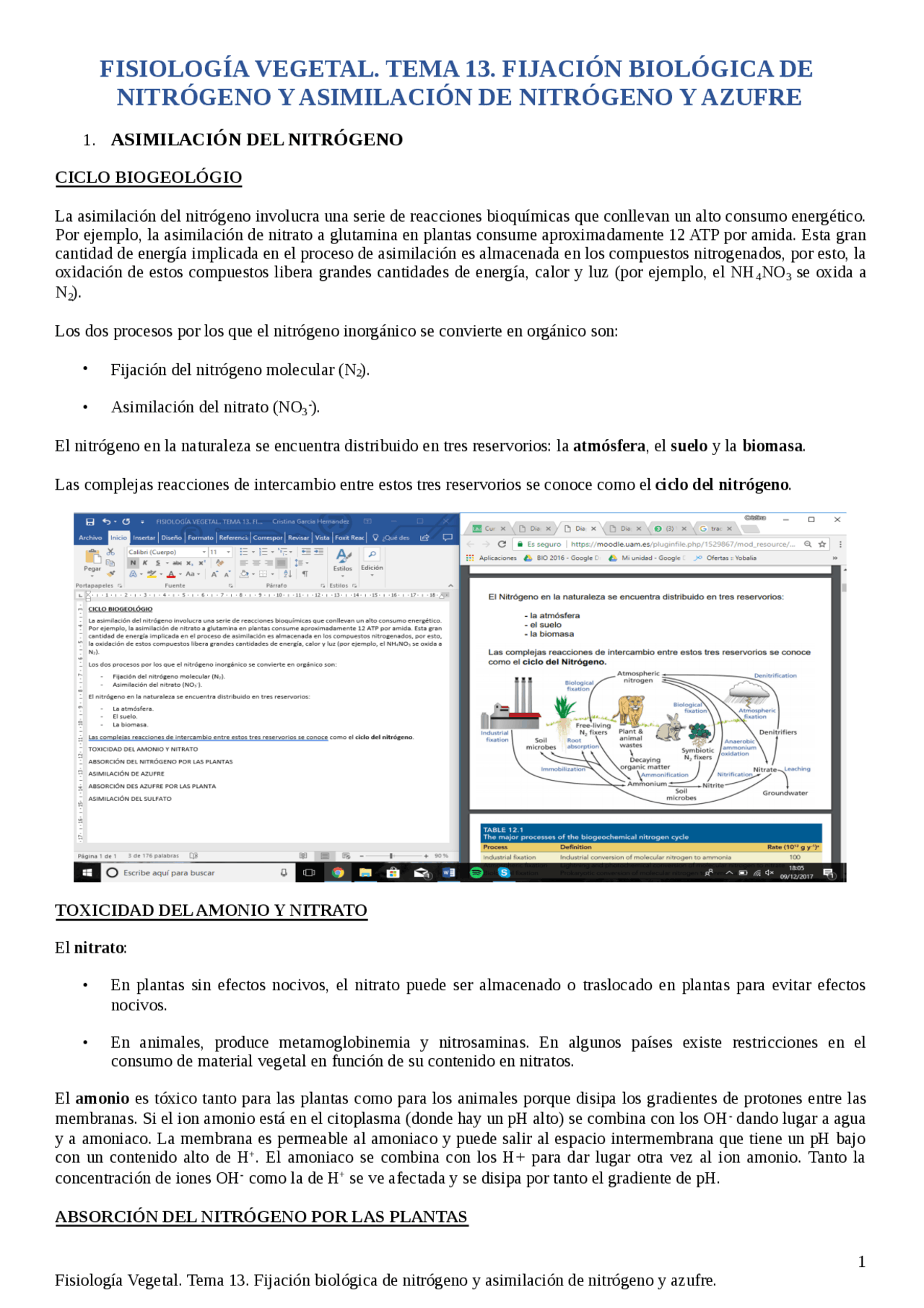 Fisiología Vegetal. tema 13 - Docsity