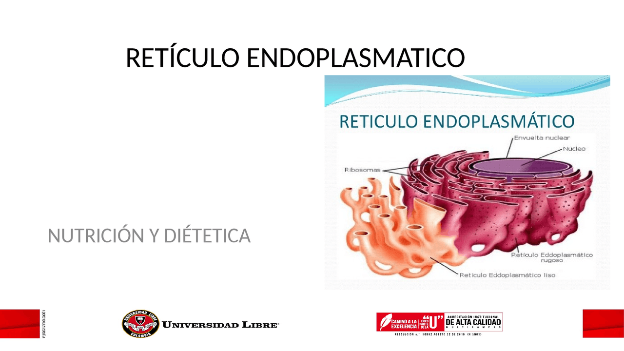 Reticulo Endoplasmatico La Célula. 5. Tráfico Vesicular. Del