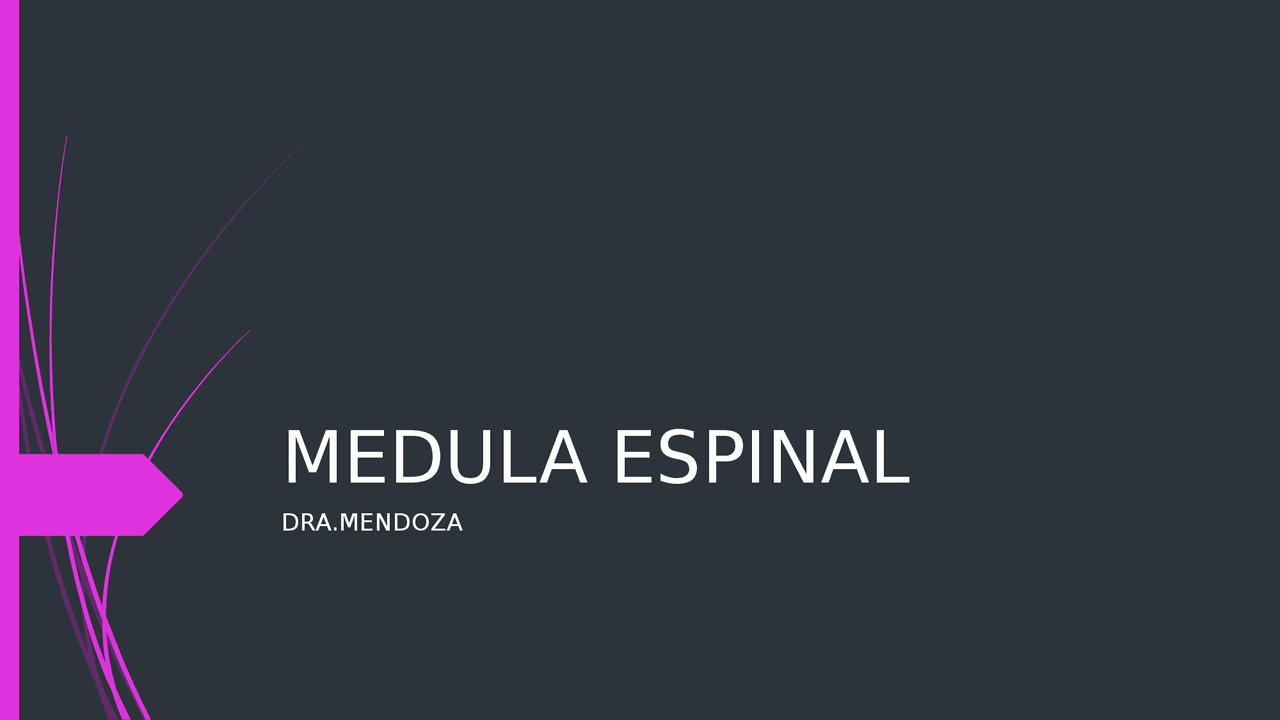 Neuro Anatomia Medula Espinal Diapositivas De Neuroanatomía Docsity
