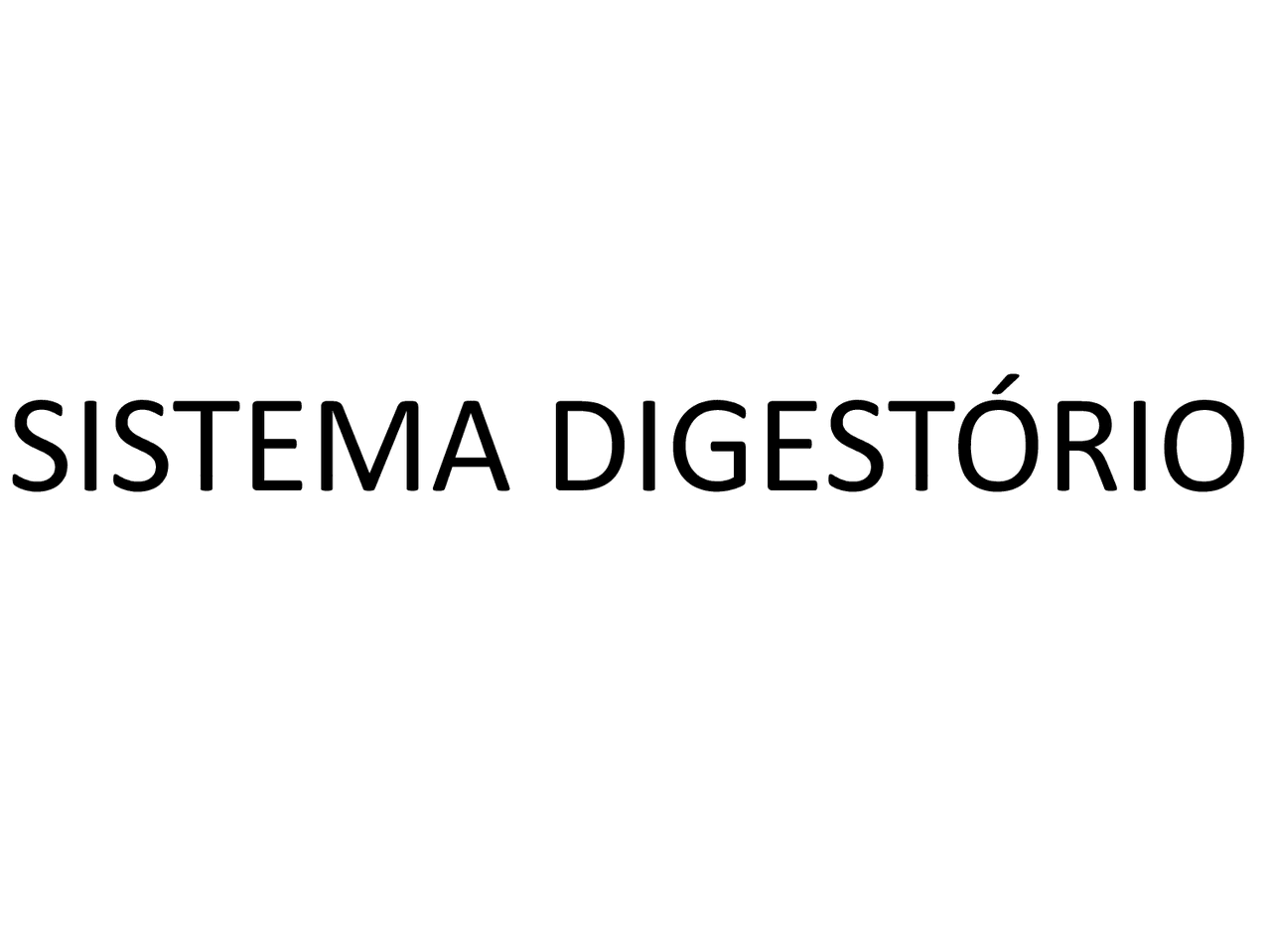 Anatomia Prática Sistema Digestório Docsity