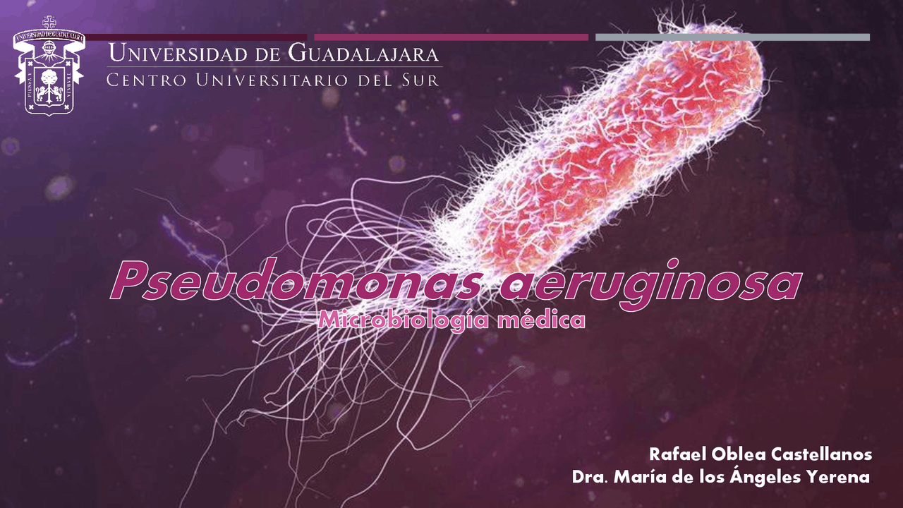 Pseudomonas Aeruginosa Diapositivas De Microbiología Docsity