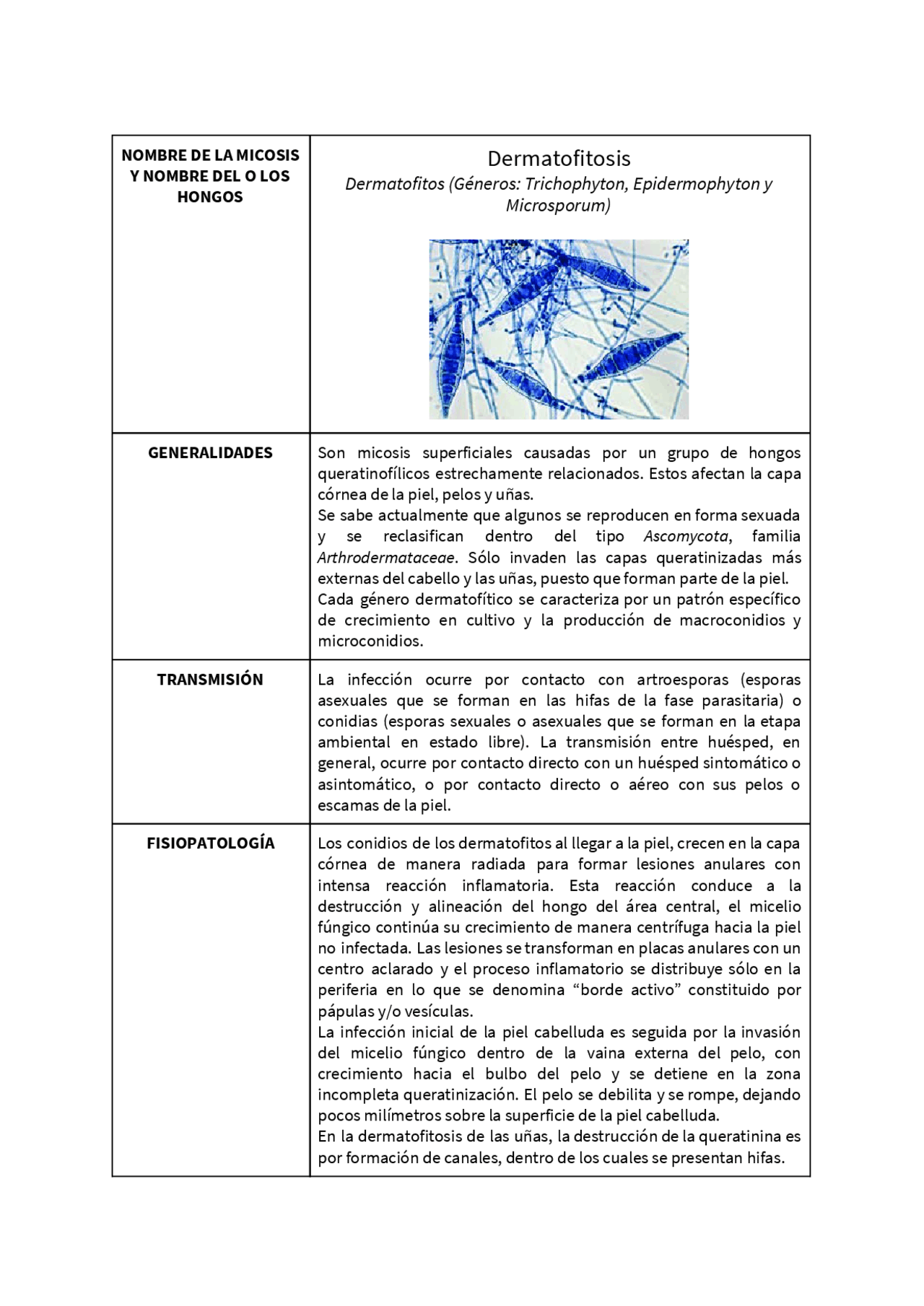 Propiedades De Los Hongos Docsity