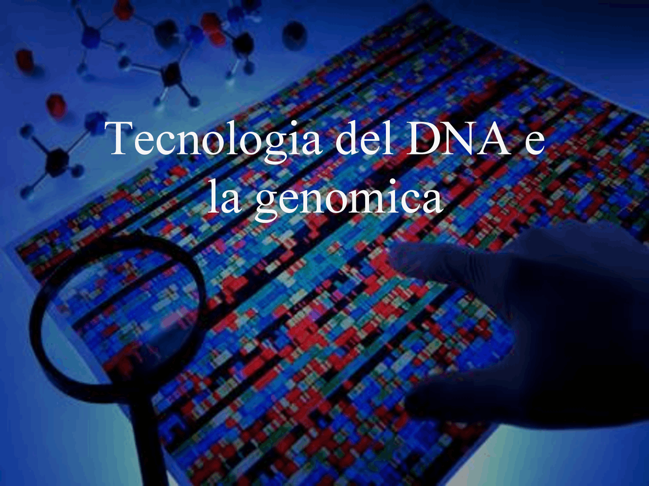 Appunti Di Biologia Tra I Quali Sistema Endocrino Docsity