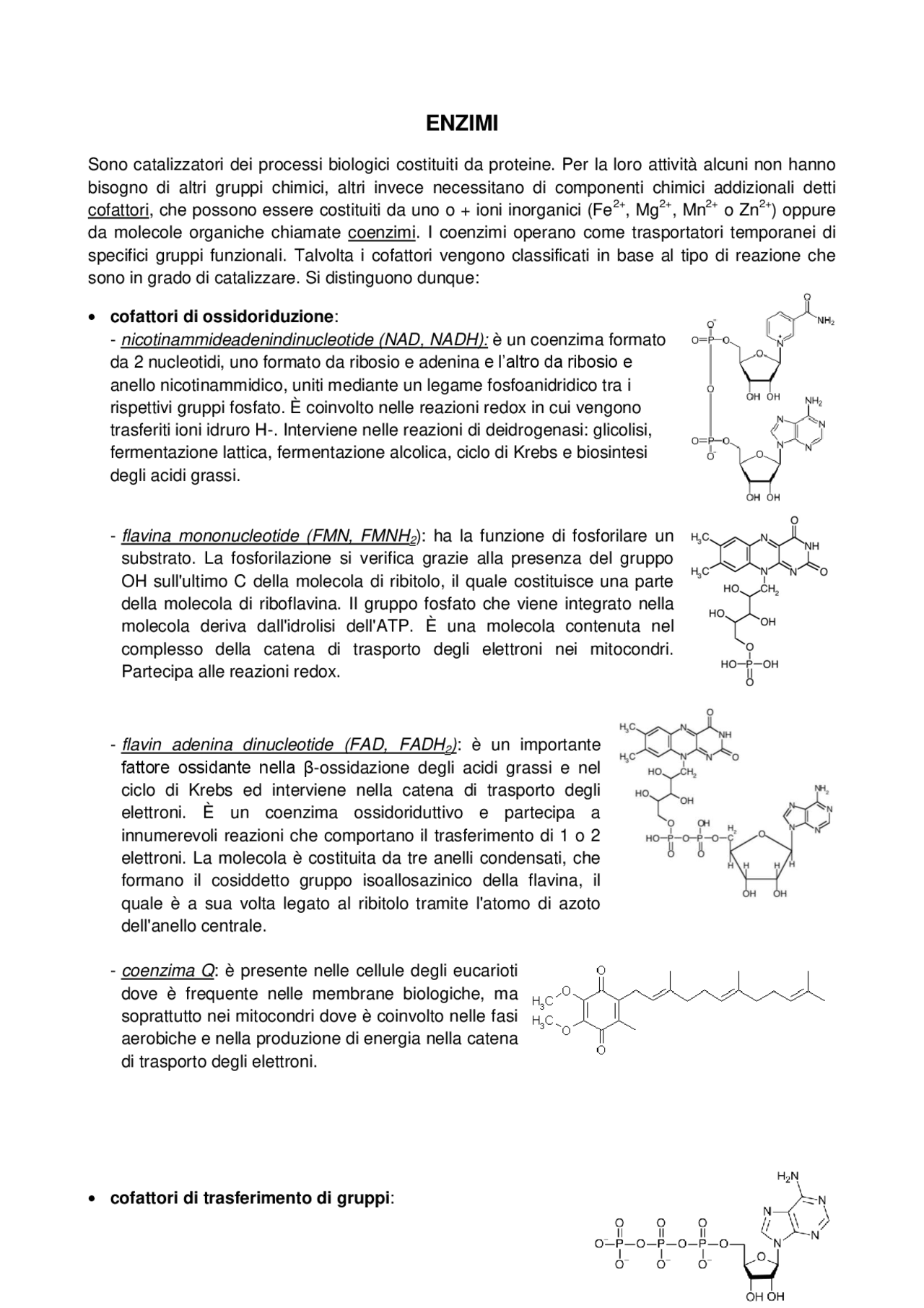 Biochimica Enzimi Docsity