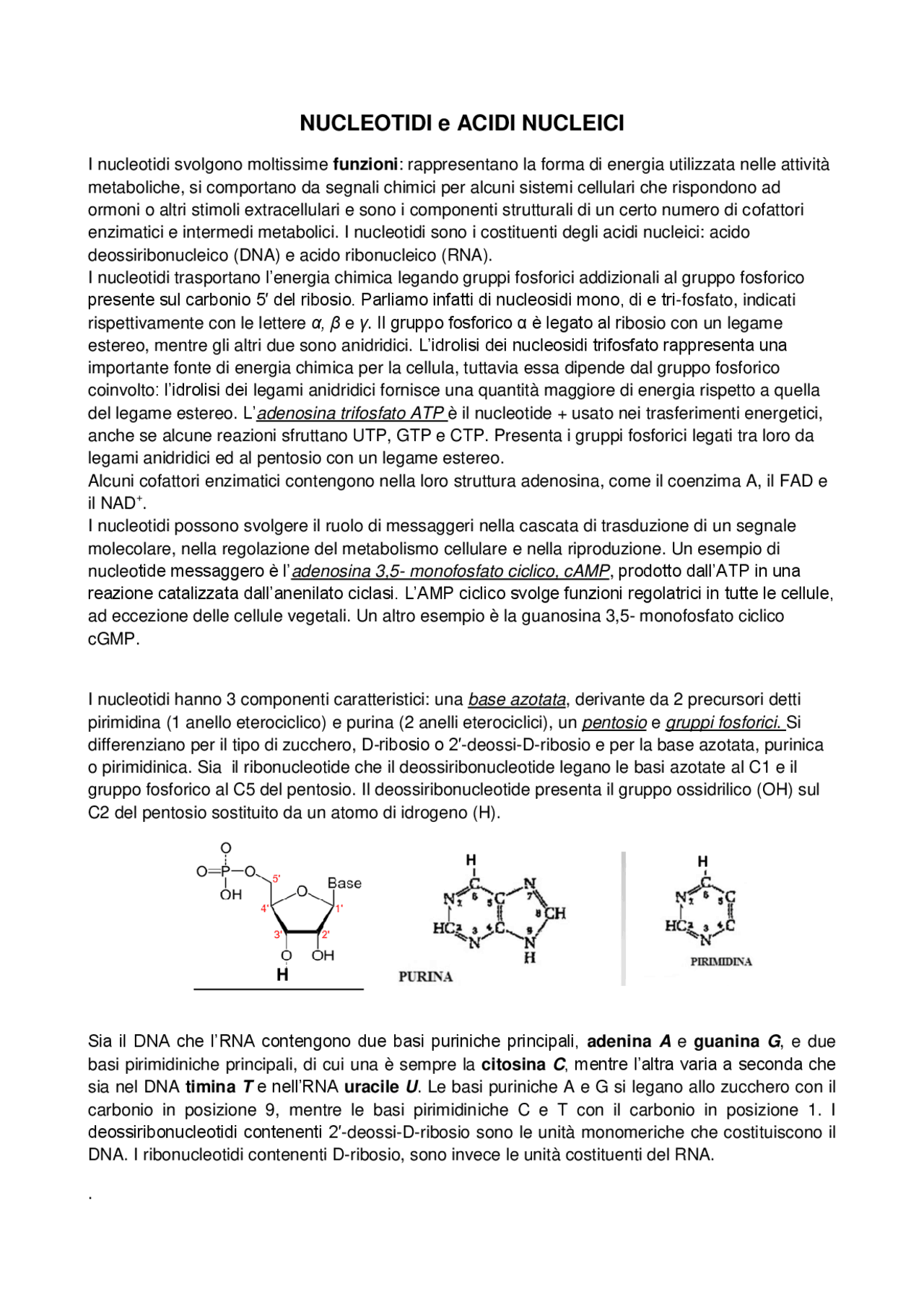 Biochimica Nucleotidi E Acidi Nucleici Docsity