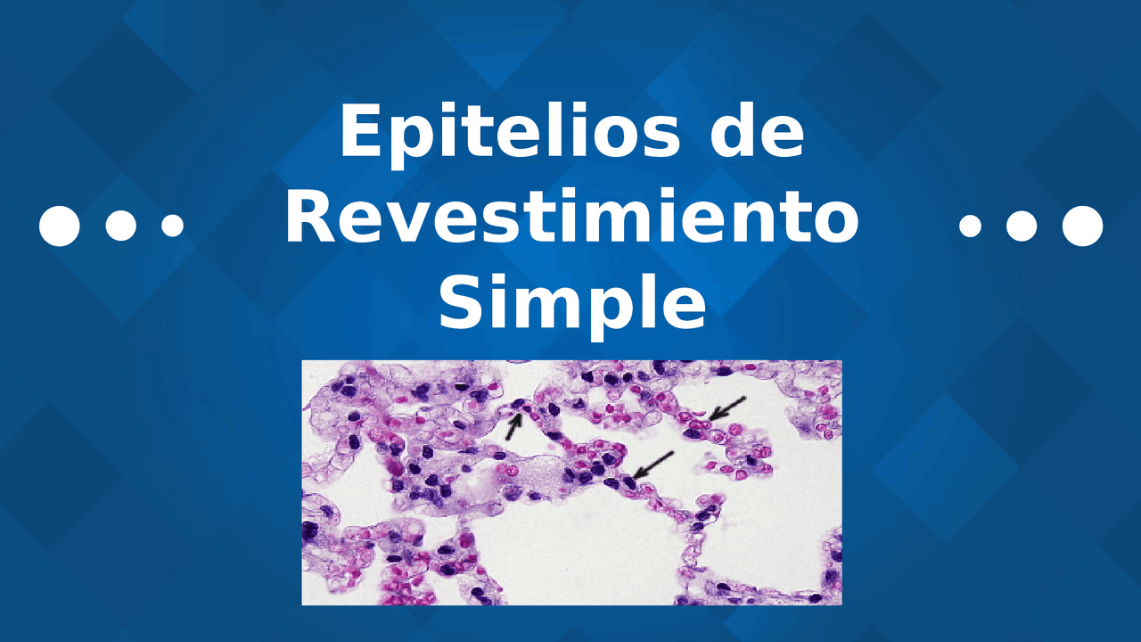 Epitelios De Revestimiento Simple Docsity