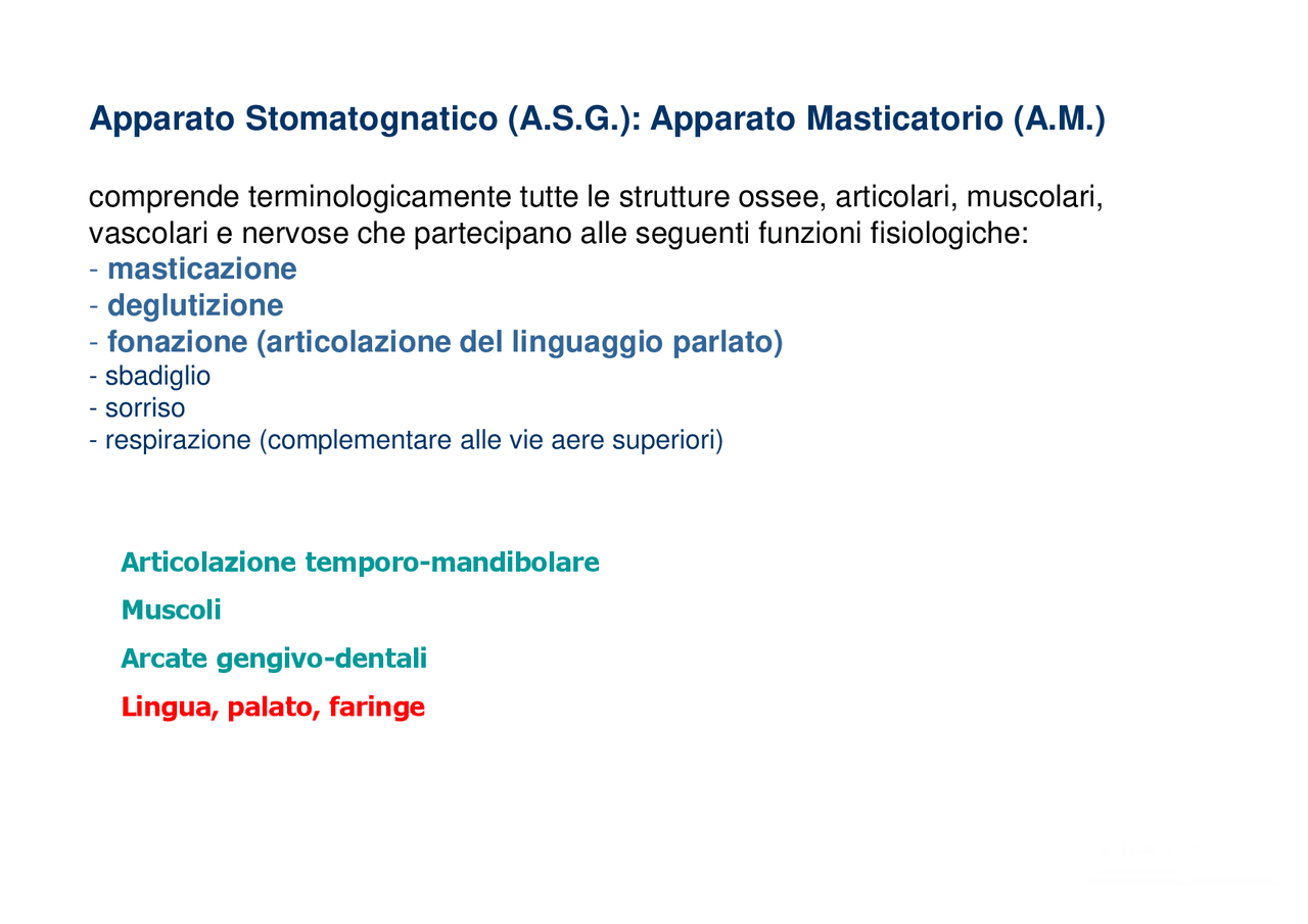 Apparato Stomatognatico (A.S.G.): Apparato Masticatorio (A.M ...