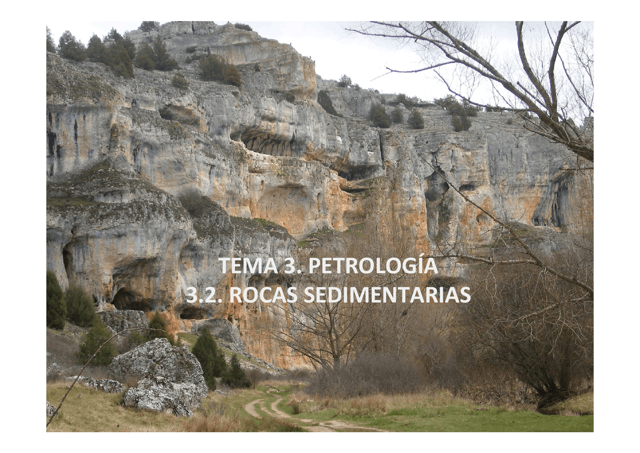 Apuntes De Geologia 3 Docsity