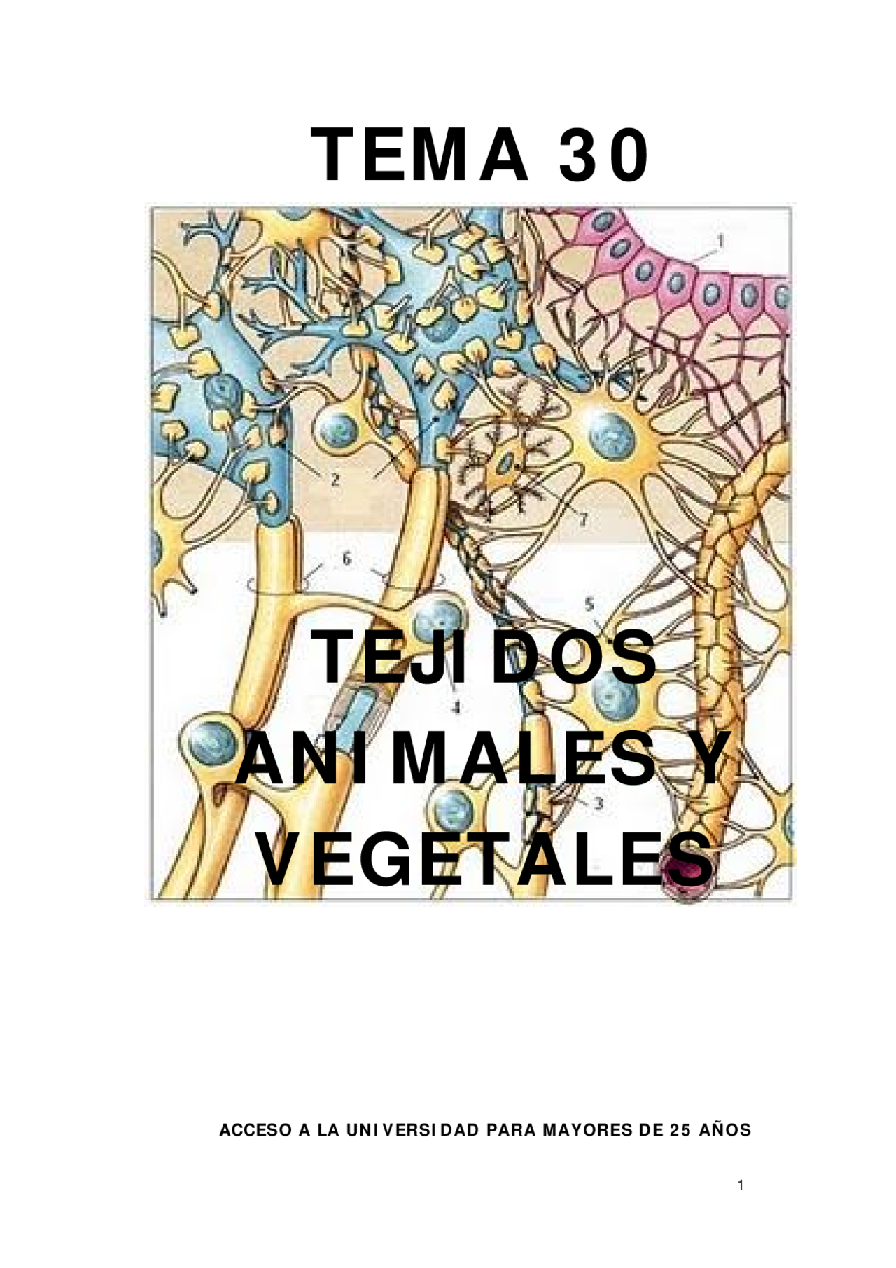 Tema 30 Oposiciones Biologia Docsity