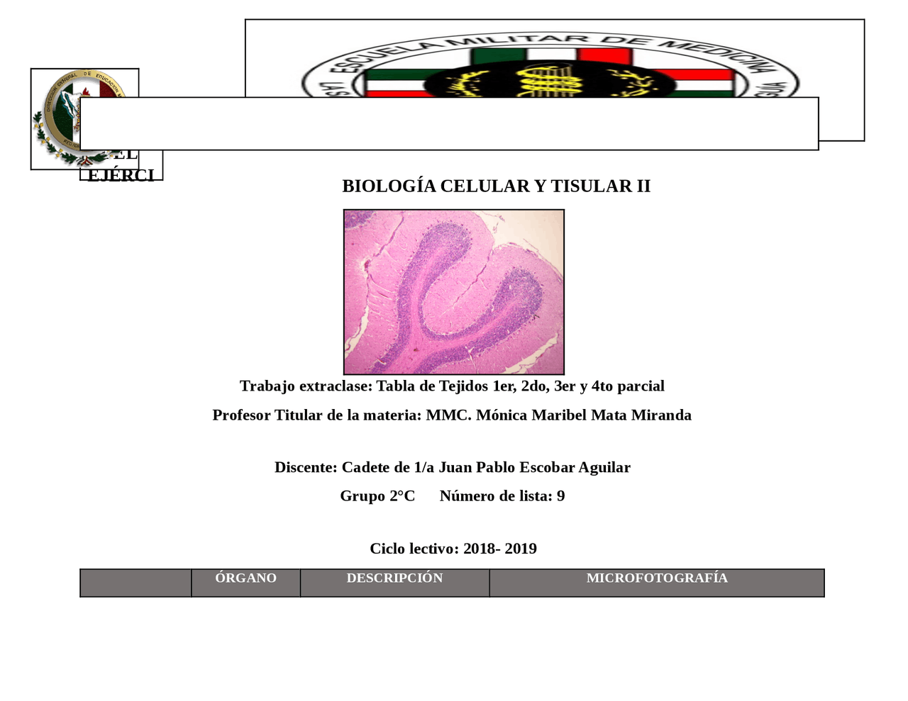 Tabla De Tejidos Histología Docsity