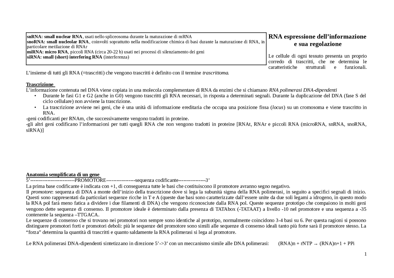 Trascrizione Del Dna Docsity