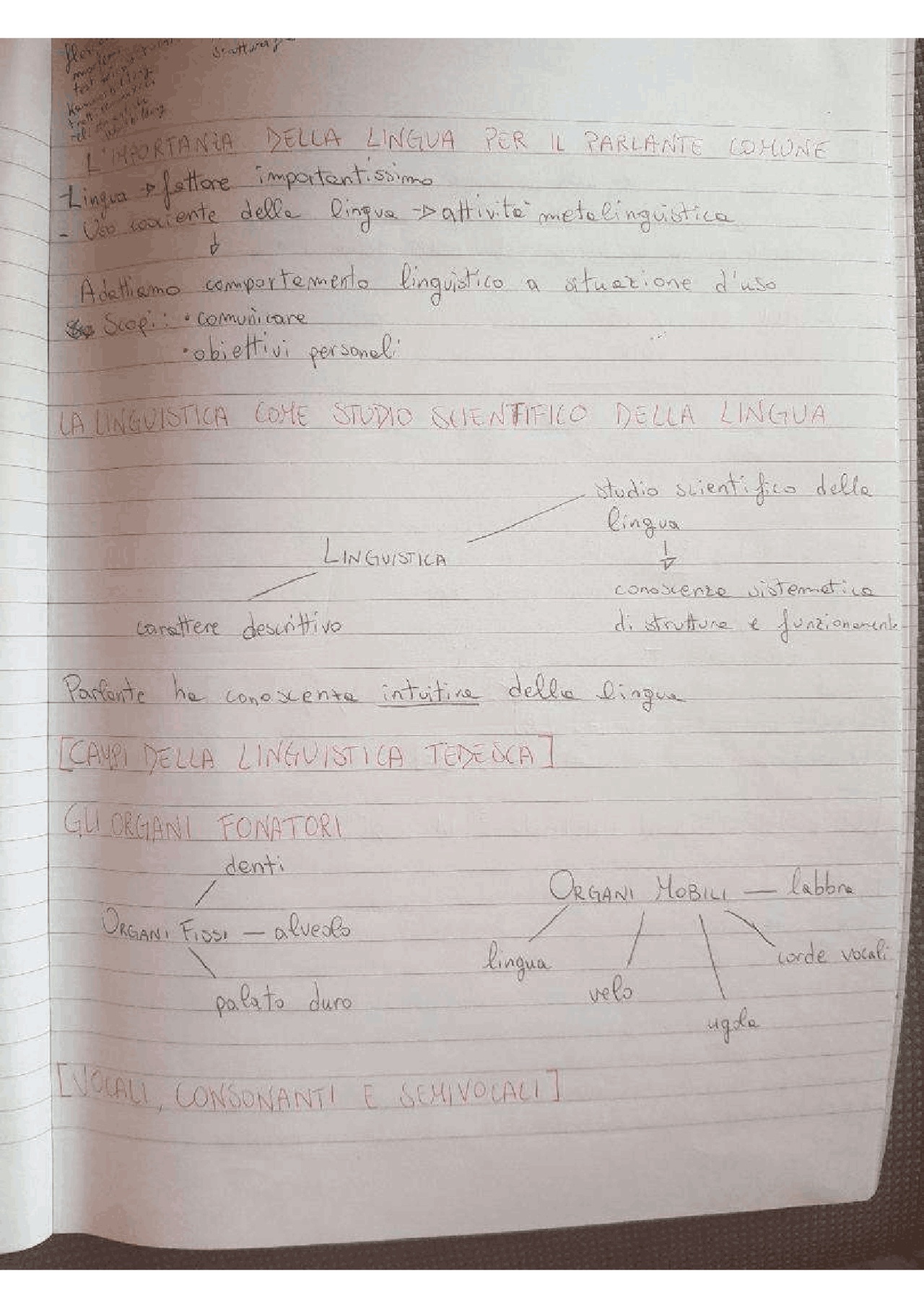 La Linguistica Tedesca Di Meola Docsity