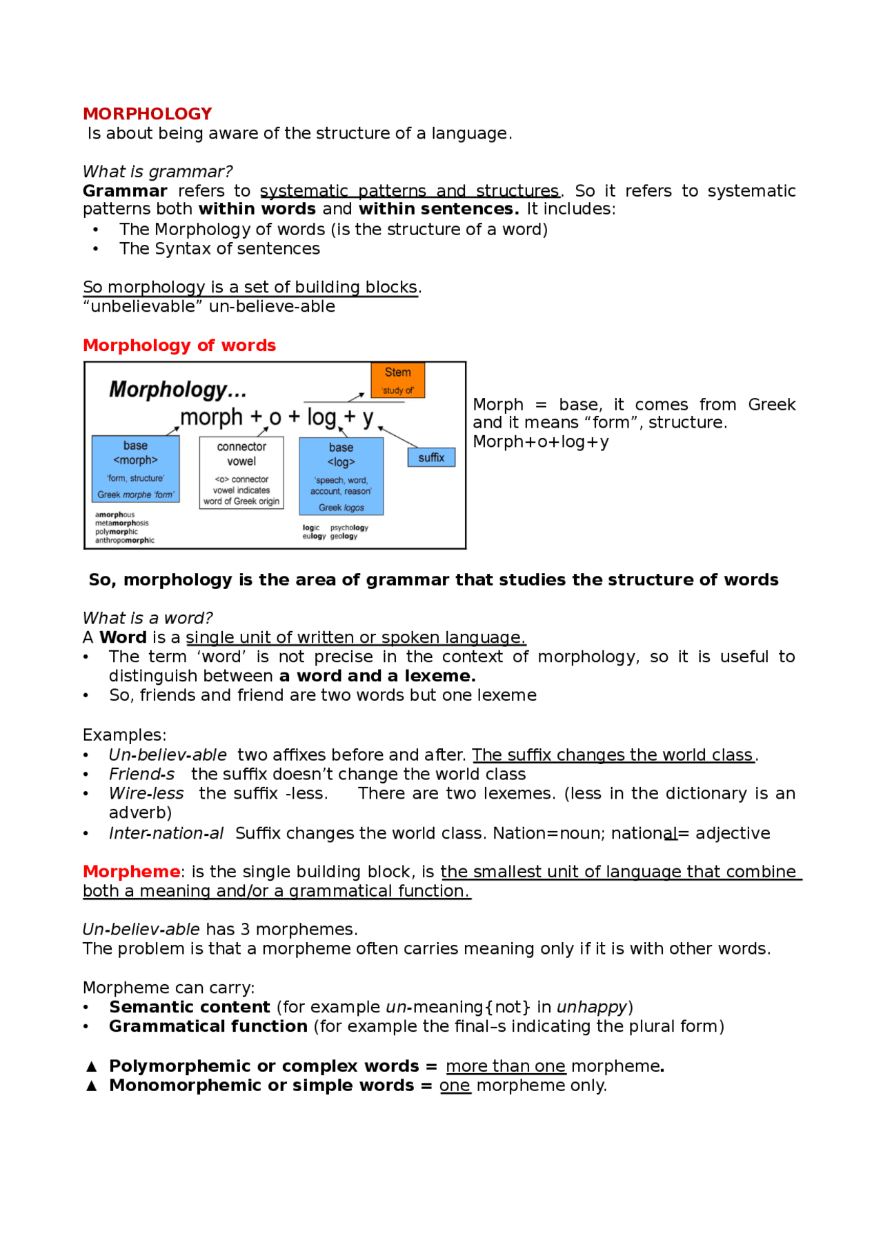 Appunti Morfosintassi Inglese Secondo Semestre Docsity