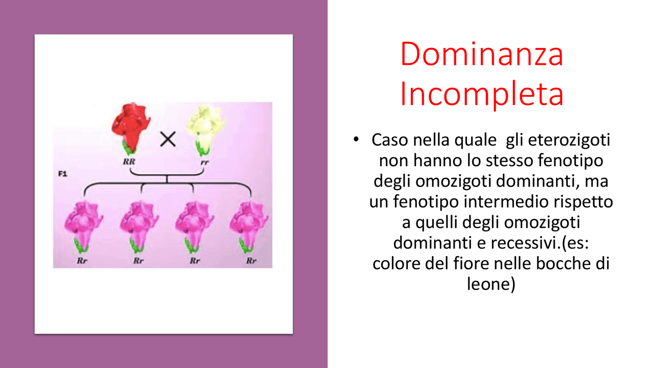 Riassunti Genetica Docsity