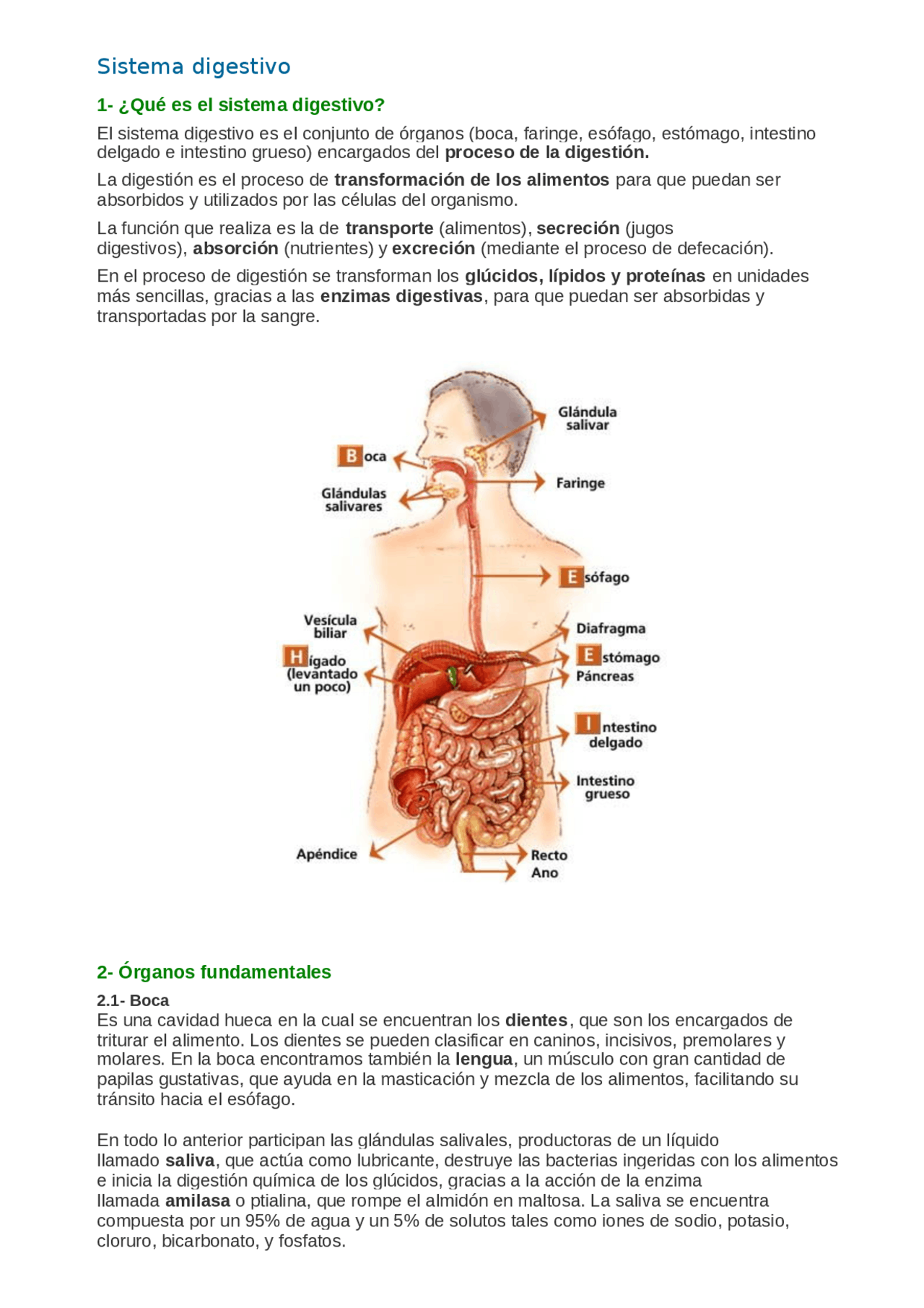 Sistemas del cuerpo humano. - Docsity