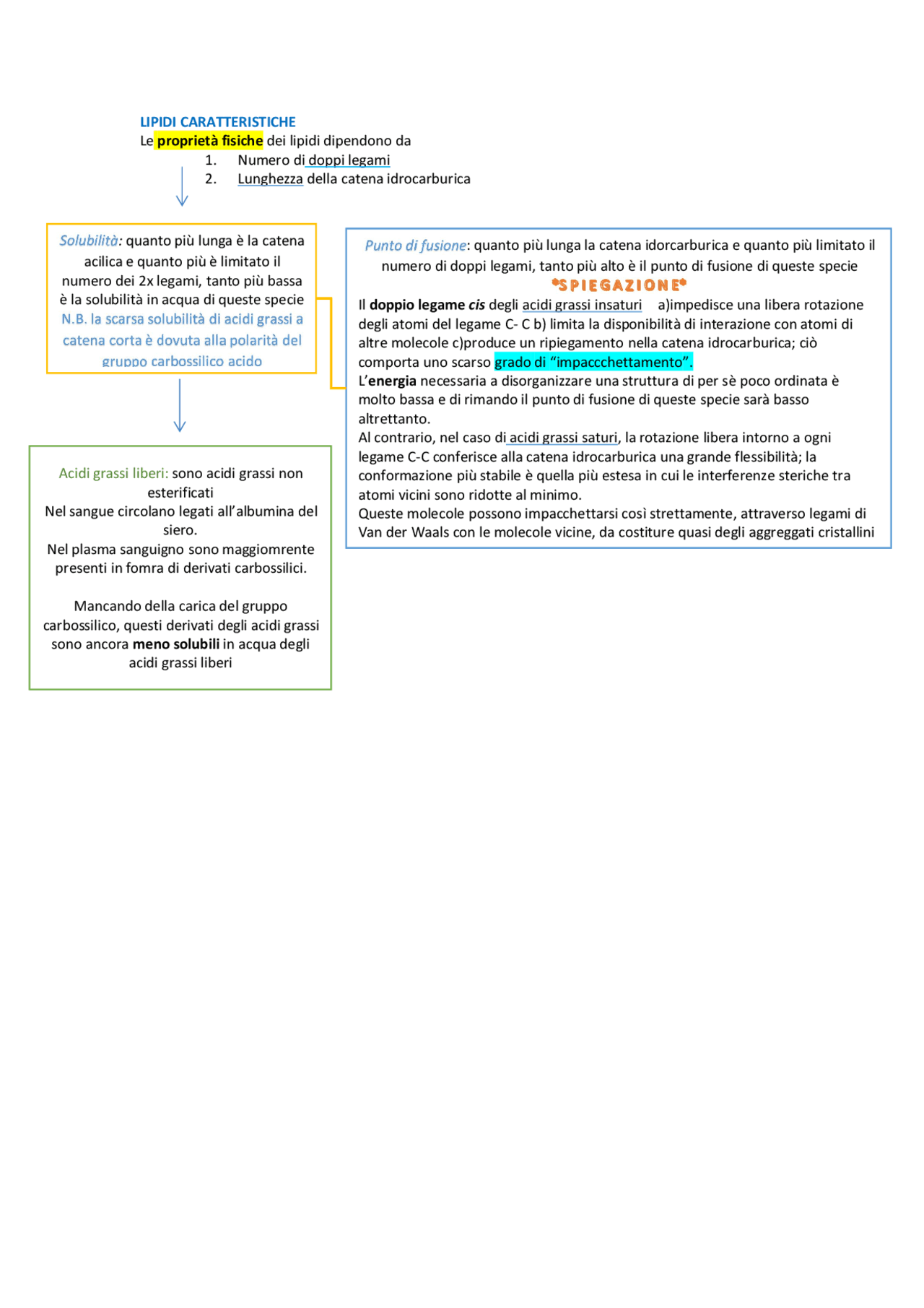 Generalità Sui Lipidi Docsity