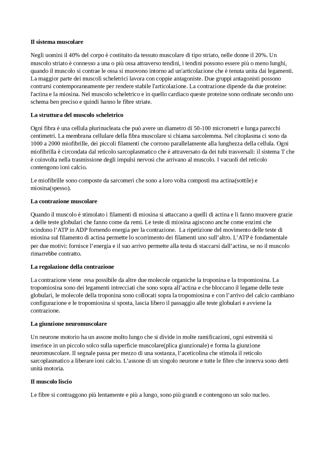 Il Sistema Muscolare Docsity