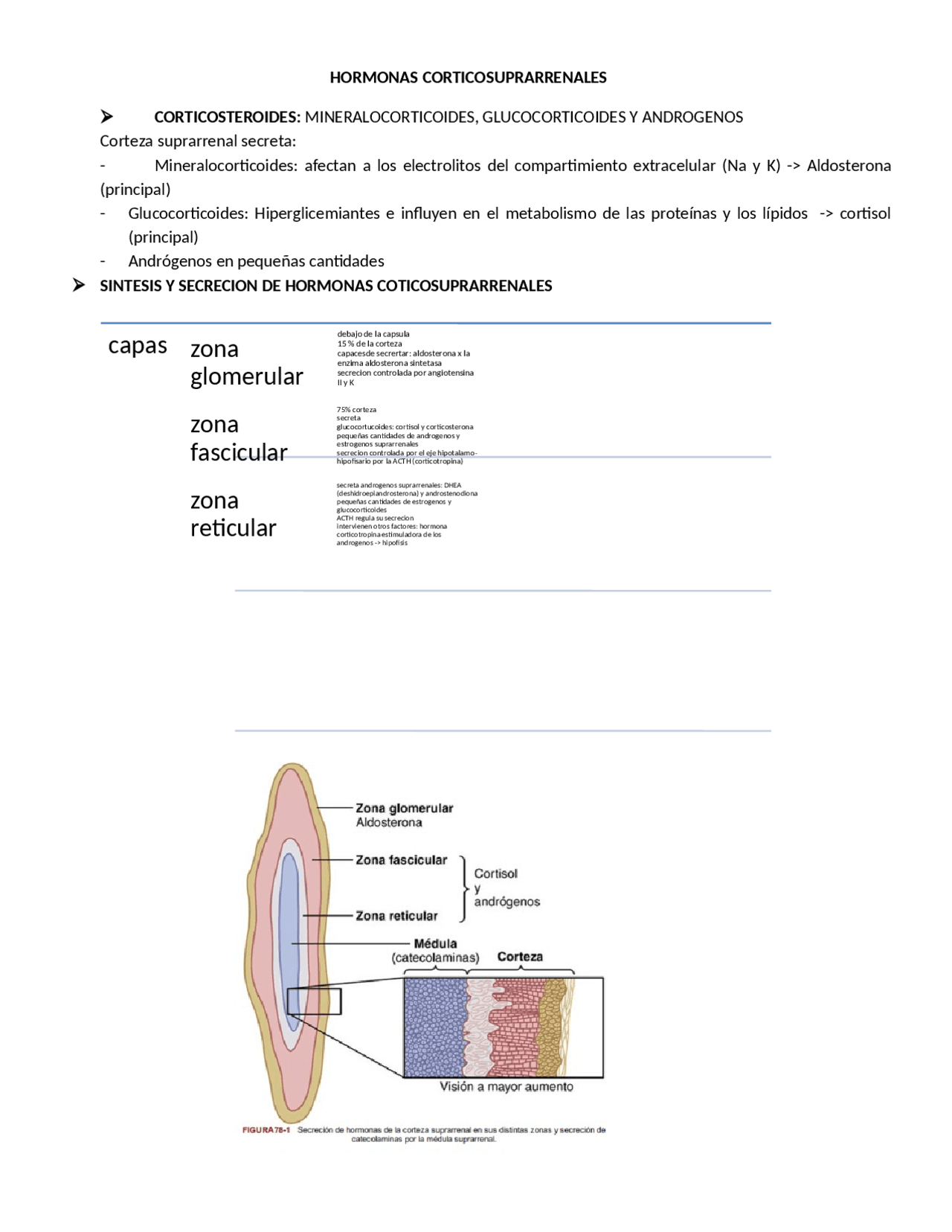 Capitulo 78 guyton 13 ed. | Resúmenes de Fisiología Humana | Docsity