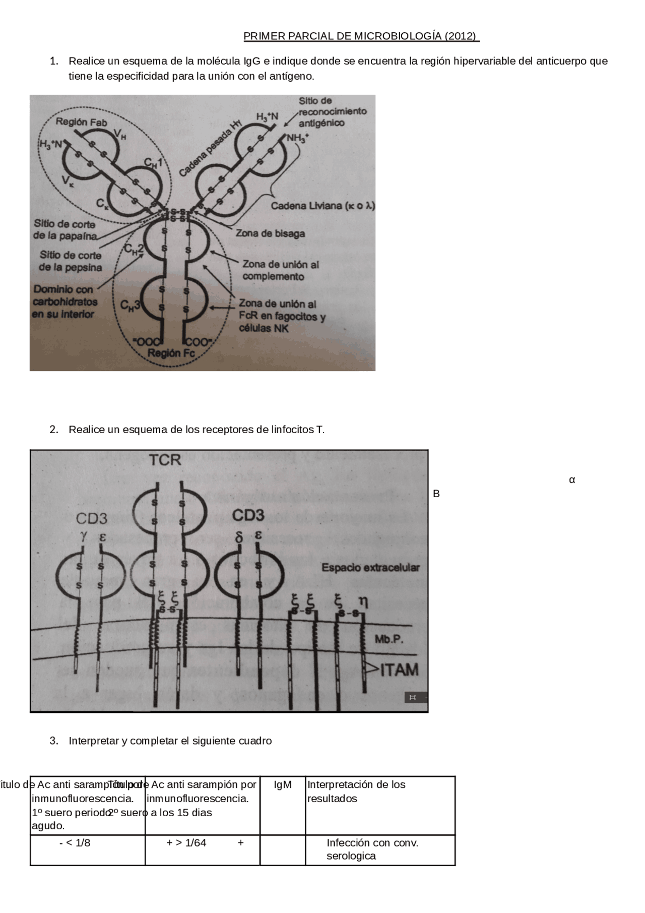 Parcial Microbiologia Docsity