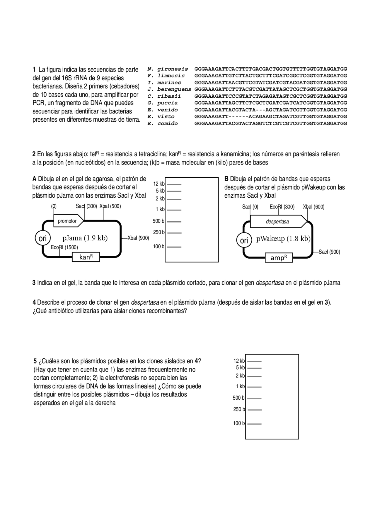 Ejercicio micro parte 2 - Docsity