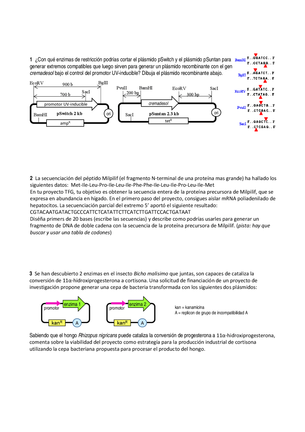 Ejercicios micro parte 2 - Docsity