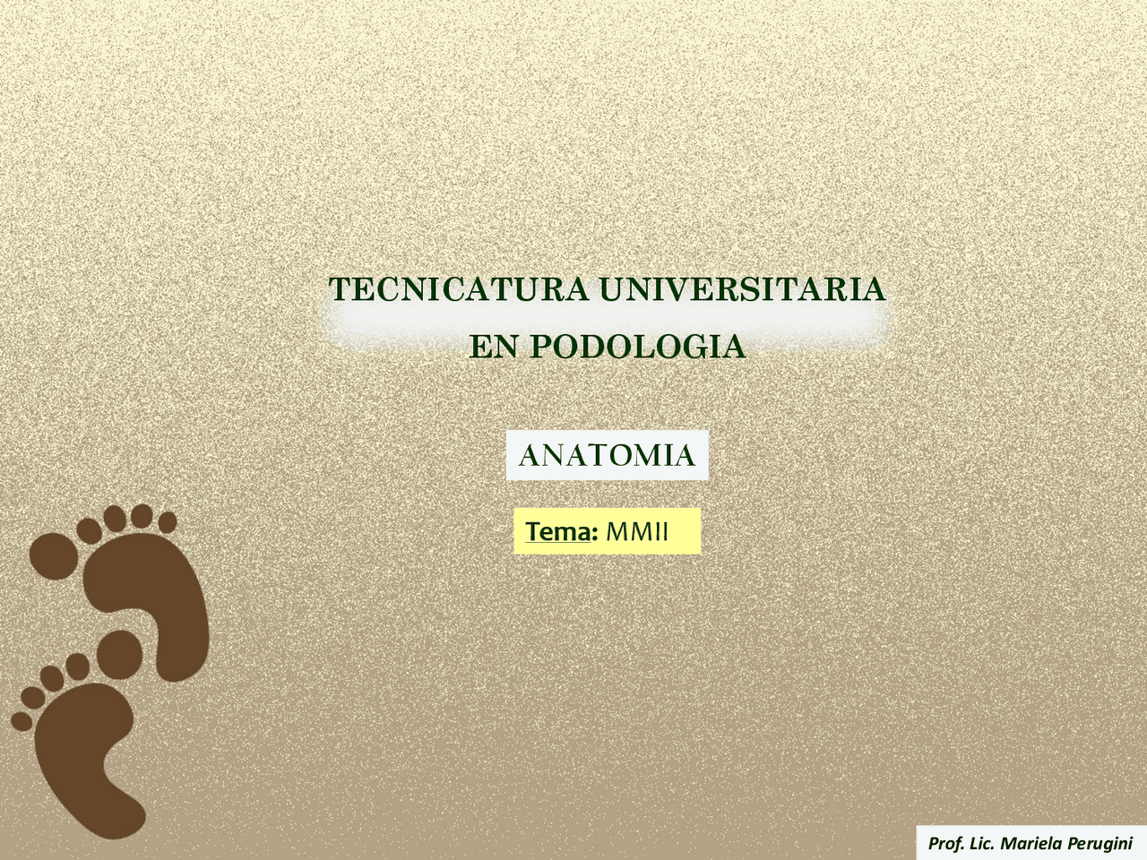 Oseo De Miembros Inferiores Apuntes De Anatomía Docsity