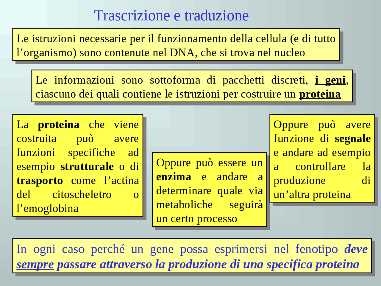 Sintesi Proteica Appunti Dispense Ppt Power Point Slides De Biologia