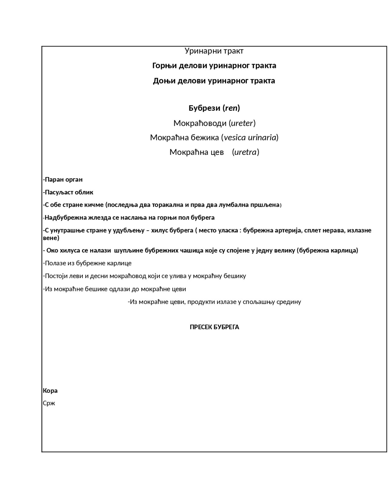 Anatomija Urinarnog Trakta Beleške Predlog Biologija Docsity