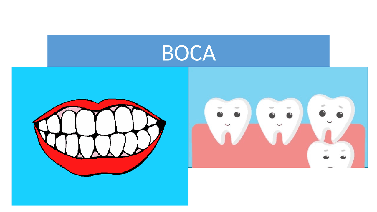 Anatomia de la boca , dientes, lengua | Diapositivas de Odontología ...