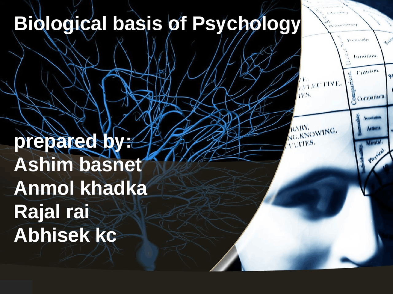 Presentation On Stress Docsity
