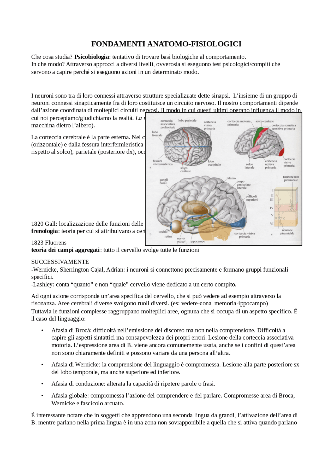 Fondamenti Anatomo Fisiologici Docsity