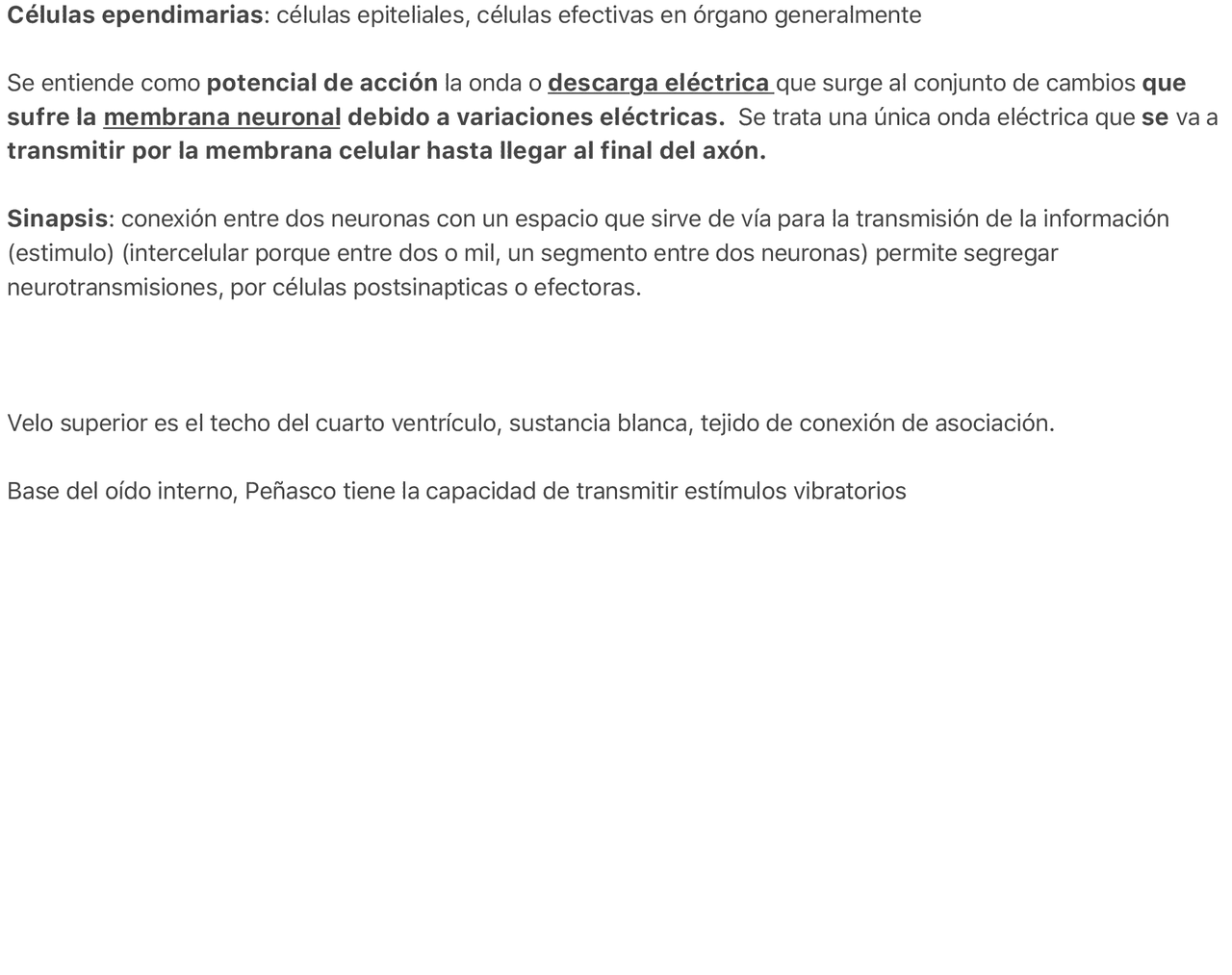 Apuntes De Neuroanatomía Docsity