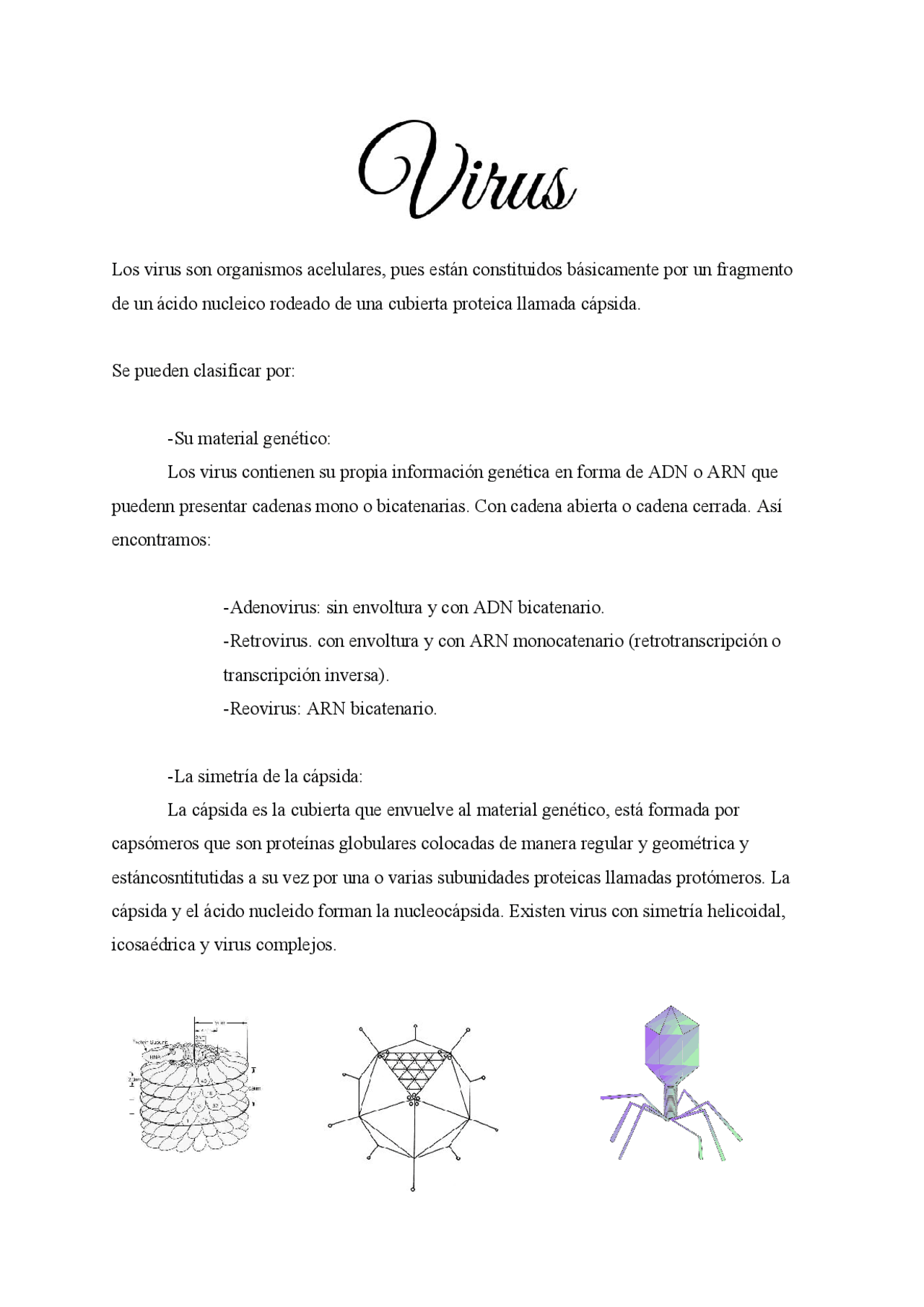 Apuntes BiologÍa Ebau Docsity